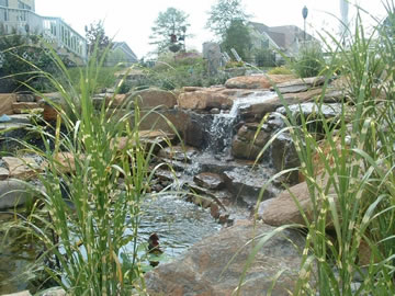 Landscaping services in Wilmington Delaware area